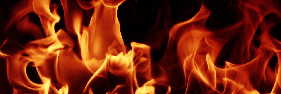 Exposition : pleins feux sur la Cité des sciences et de l'industrie ...