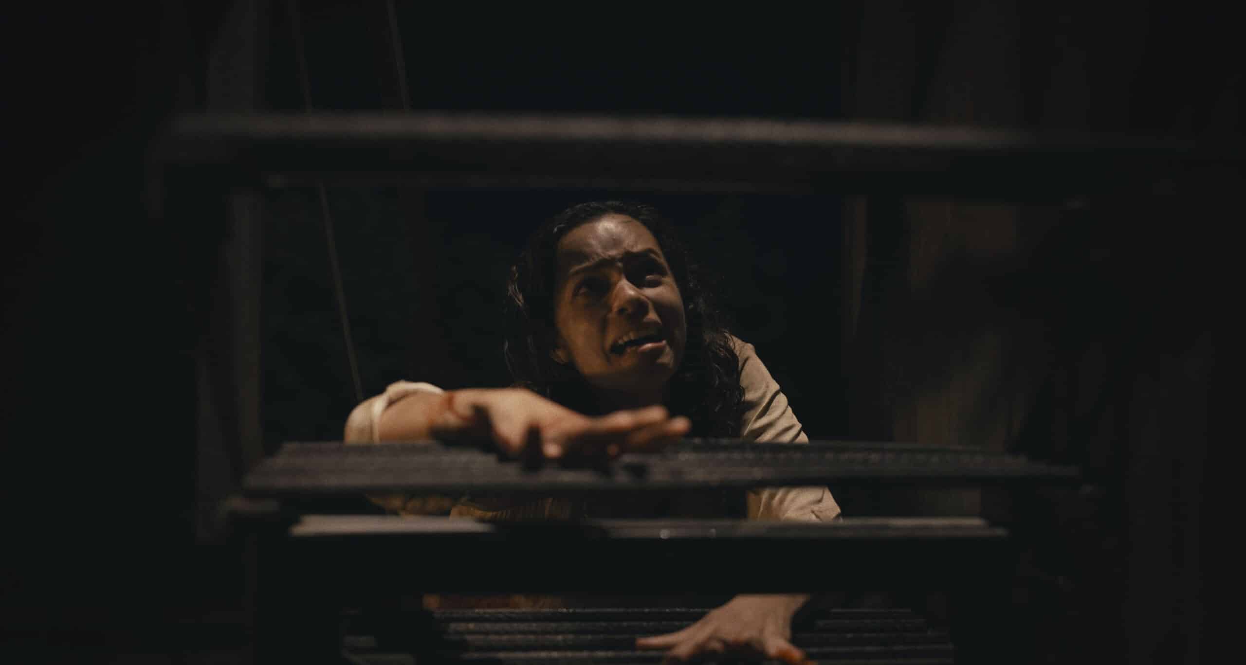 Un film pour Halloween ? Barbare sur Disney+ | VL Média