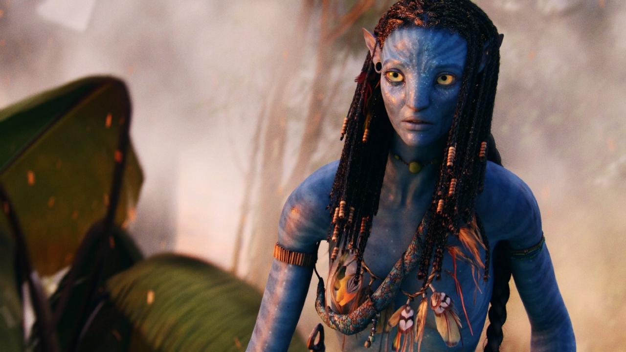 Où a-t-on vu Zoe Saldana, l'héroïne d'Avatar 2 ? | VL Média