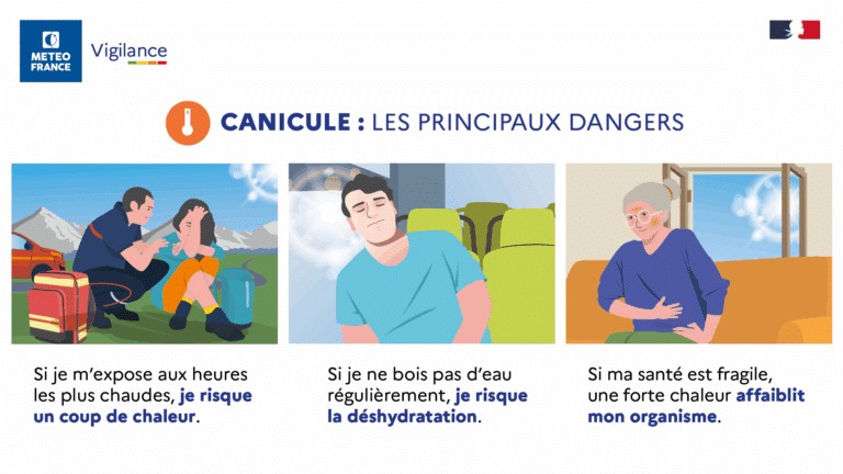 Est Ce Que La Canicule T Emballe