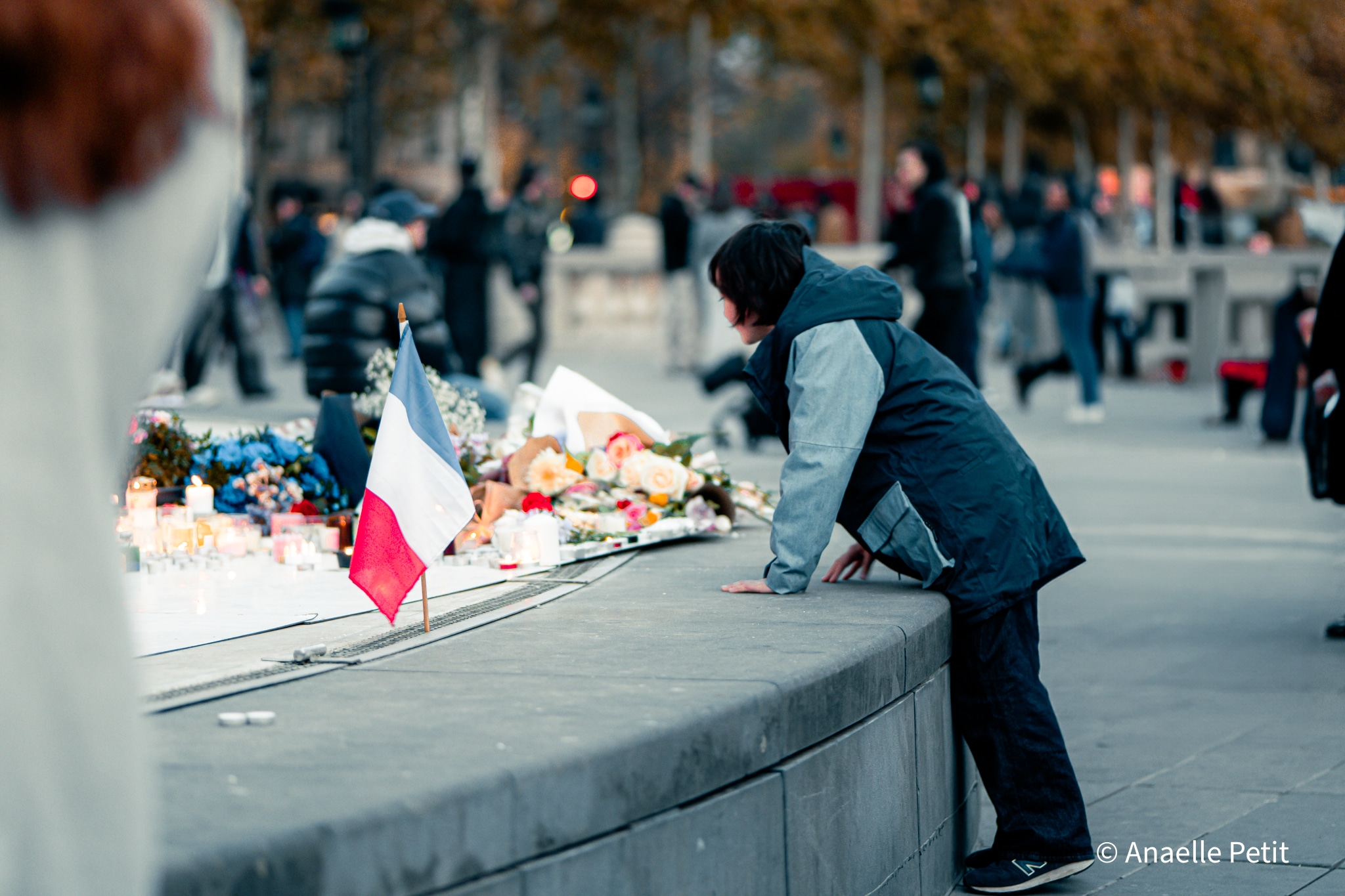 P1090072 - VL Média